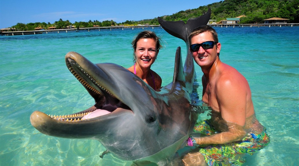 Nadar con Delfines - Bellezas Latinoamericanas | Roatan