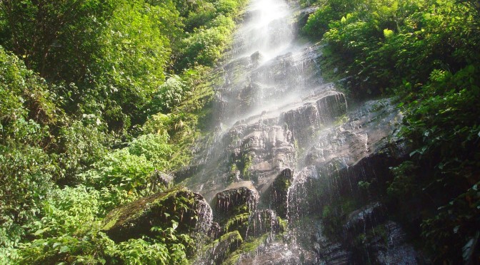 PARQUE NACIONAL AMBORO, SANTA CRUZ DE LA SIERRA BOLIVIA