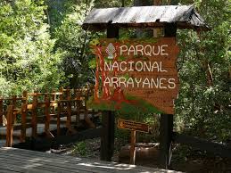 Parque Nacional Los Arrayanes, VIlla La Angostura, Neuquen, Argentina